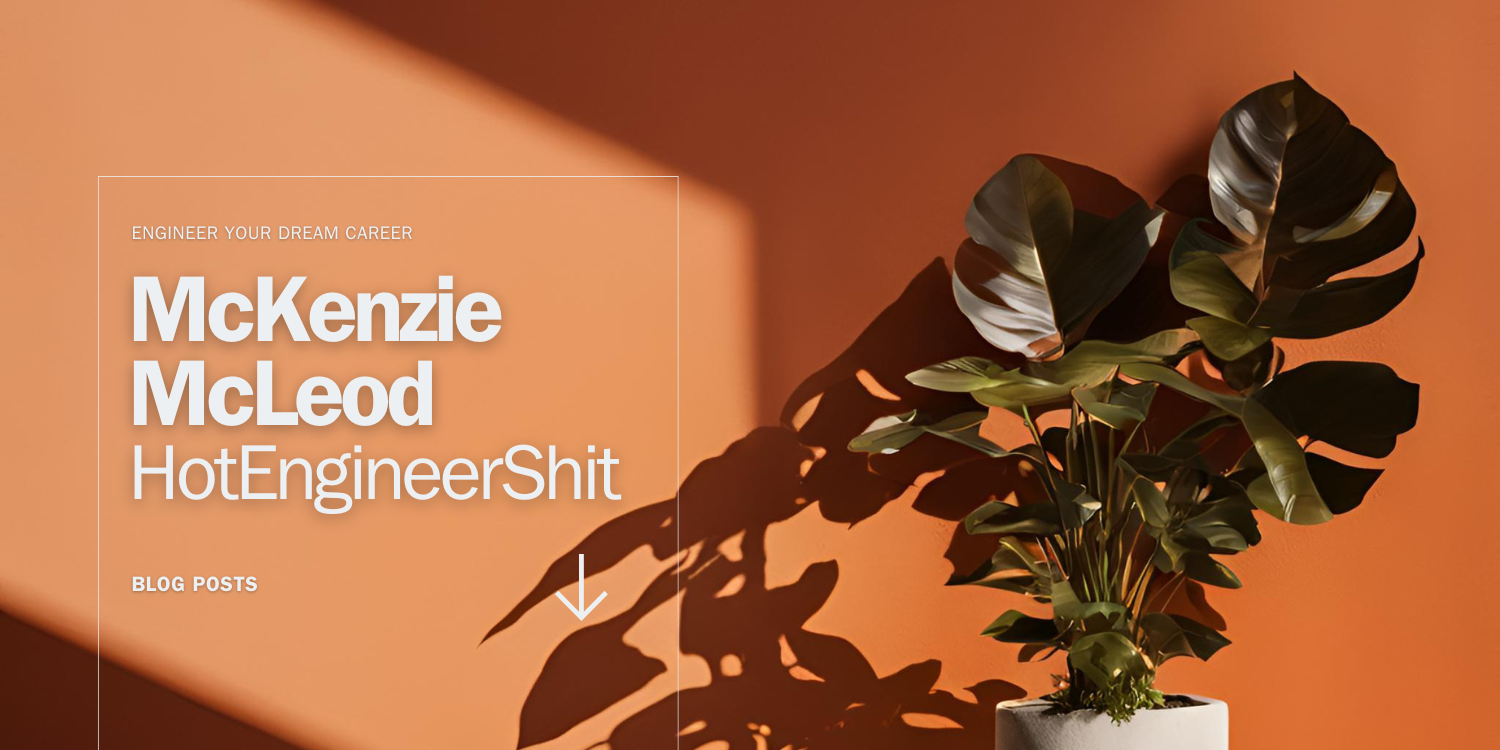 Hot Engineer Shit | Career Tips & Tools for Ambitious Women Engineers